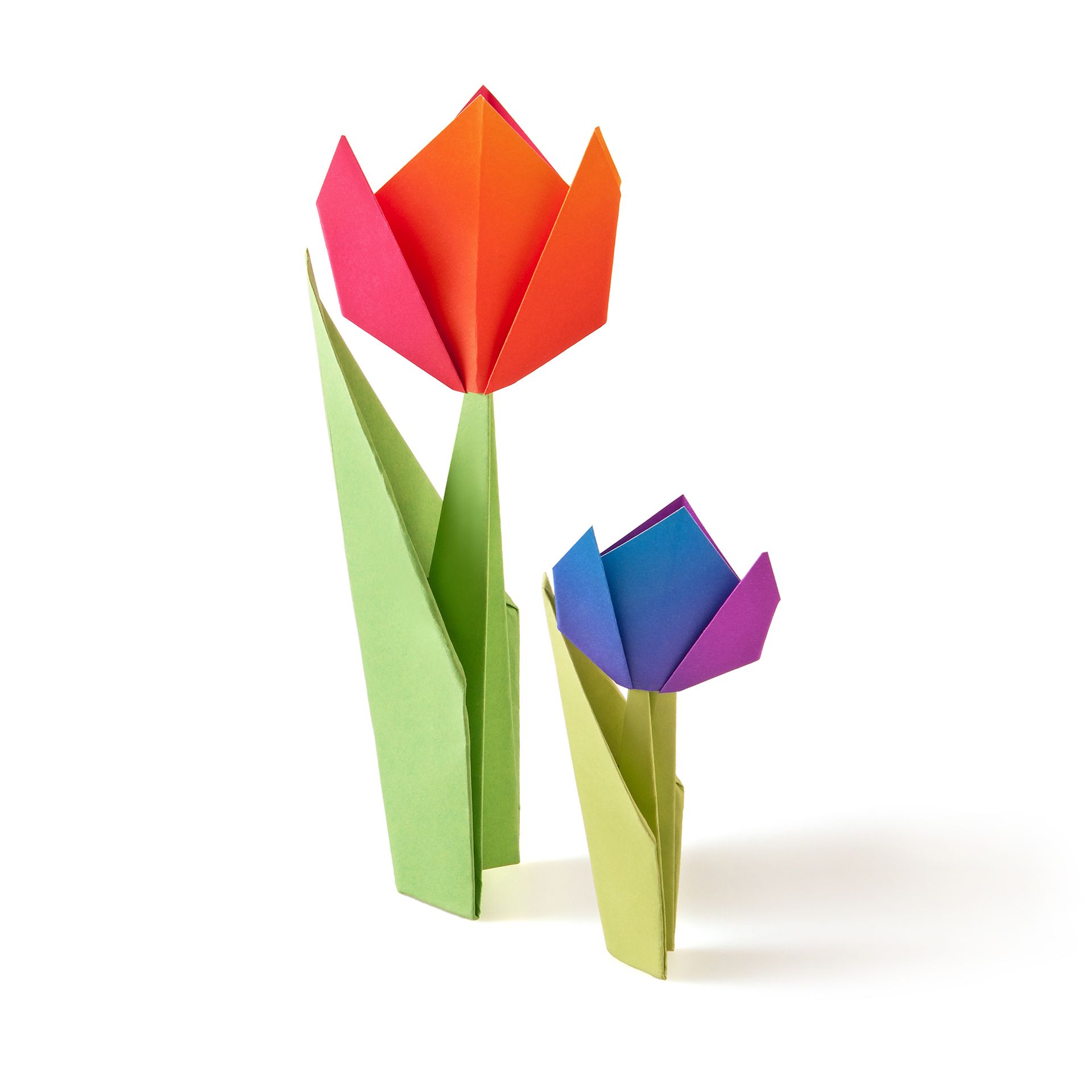 Feuilles pliables Duo-Color, 15x15cm, 80 feuilles, 5 couleurs | 446-100